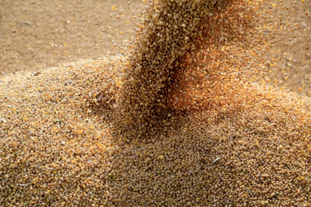 House Panel Probes USDA for Clearing Chinese Genetically Engineered ...