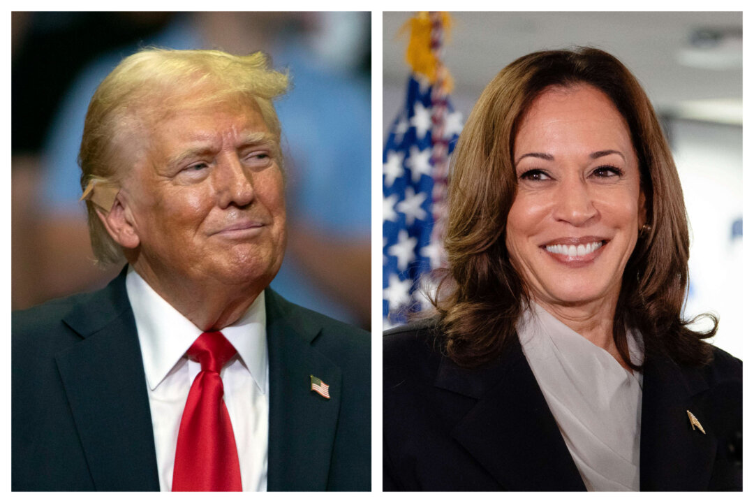 Harris, Trump Pitch Opposing Visions for Strengthening US Economy | The ...