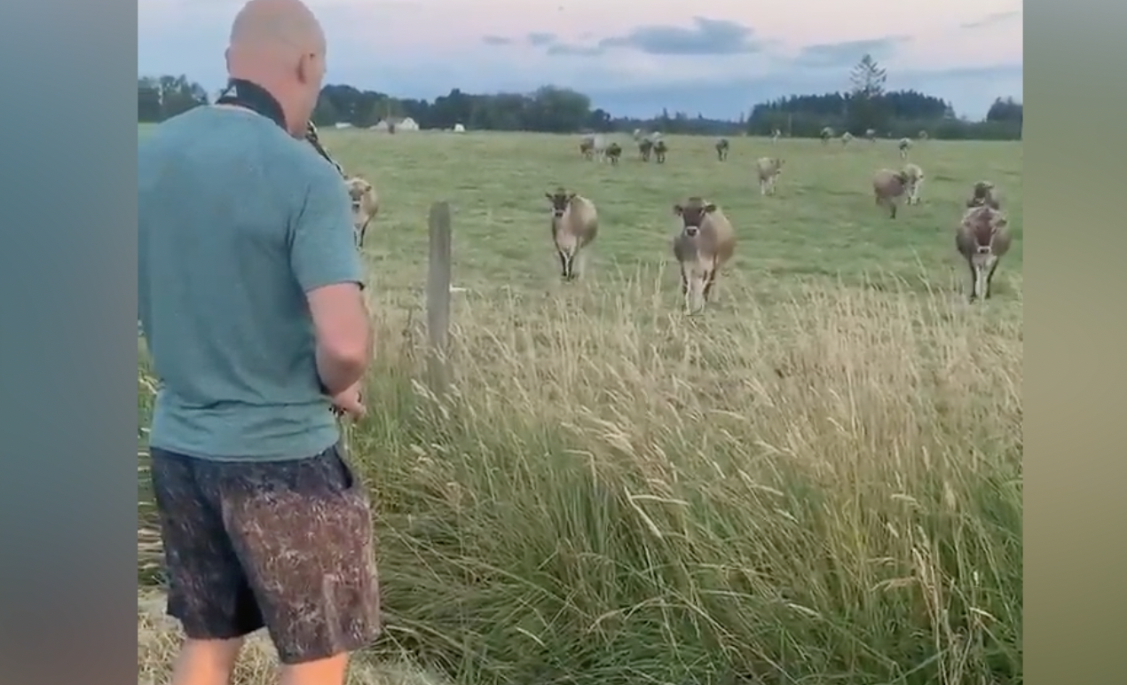Man Plays Sax for the Cows | EpochTV