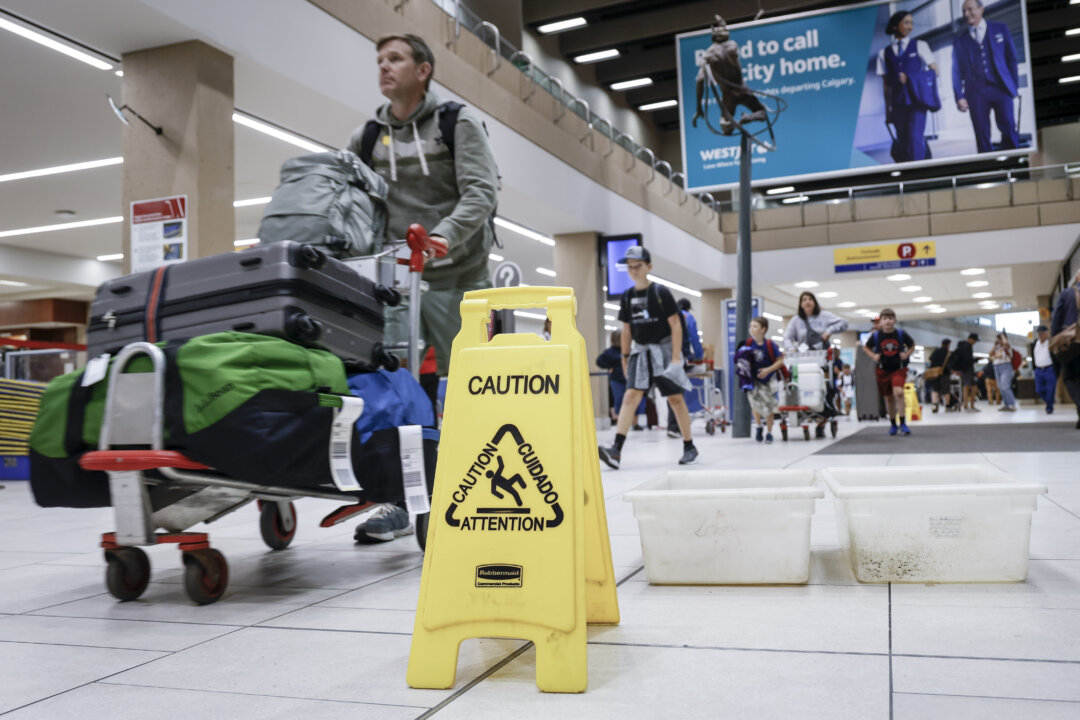 WestJet Restores 6 Hail-Damaged Planes a Month After Storm, 11 Still ...
