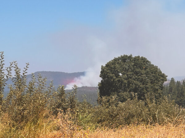 Fire Near Lake Tahoe Grows to 3 Square Miles, Forces Evacuations ...