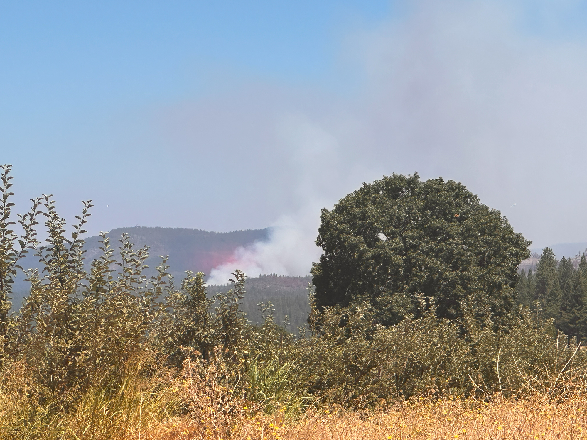 Fire Near Lake Tahoe Grows to 3 Square Miles, Forces Evacuations ...