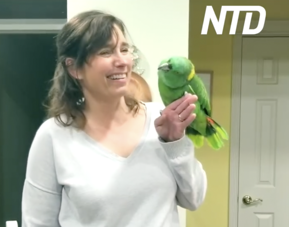 Parrot Puts on a Perfect Performance | EpochTV