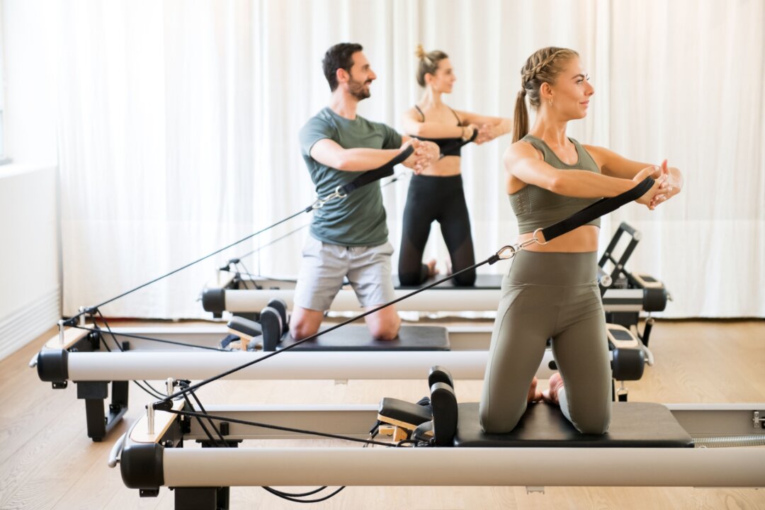 Australian National Review - A Beginner’s Guide to Muscle Building