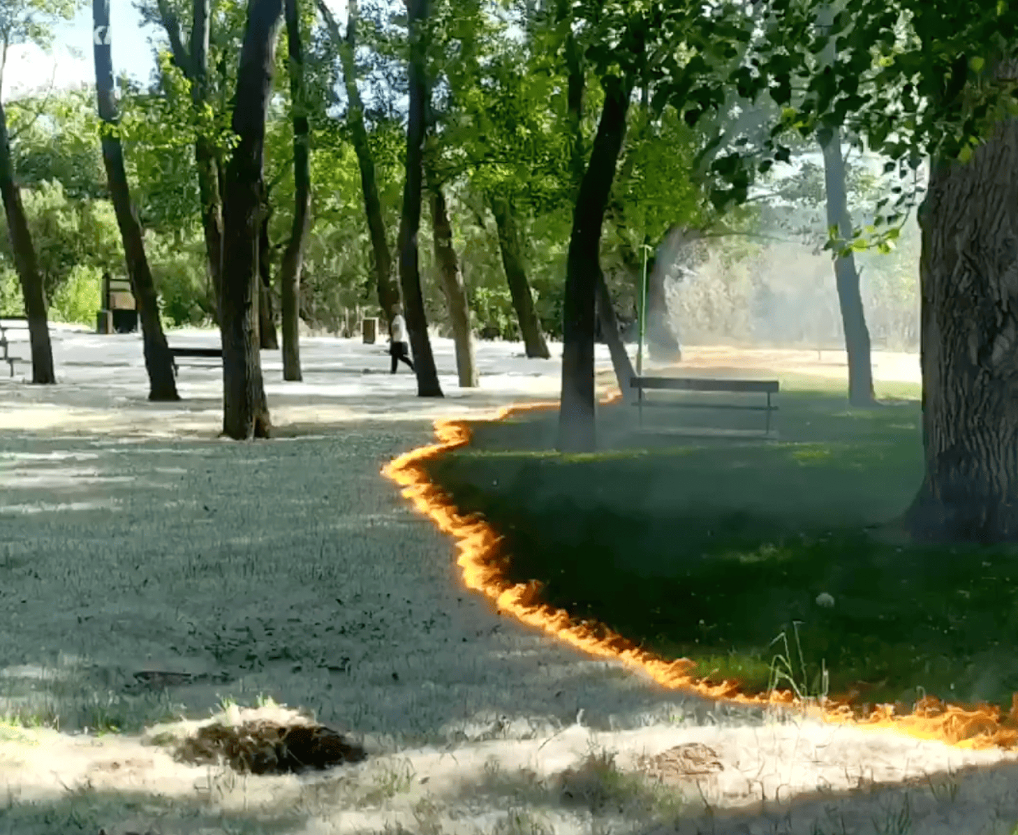 Mysterious Fluff Fire in Park | EpochTV