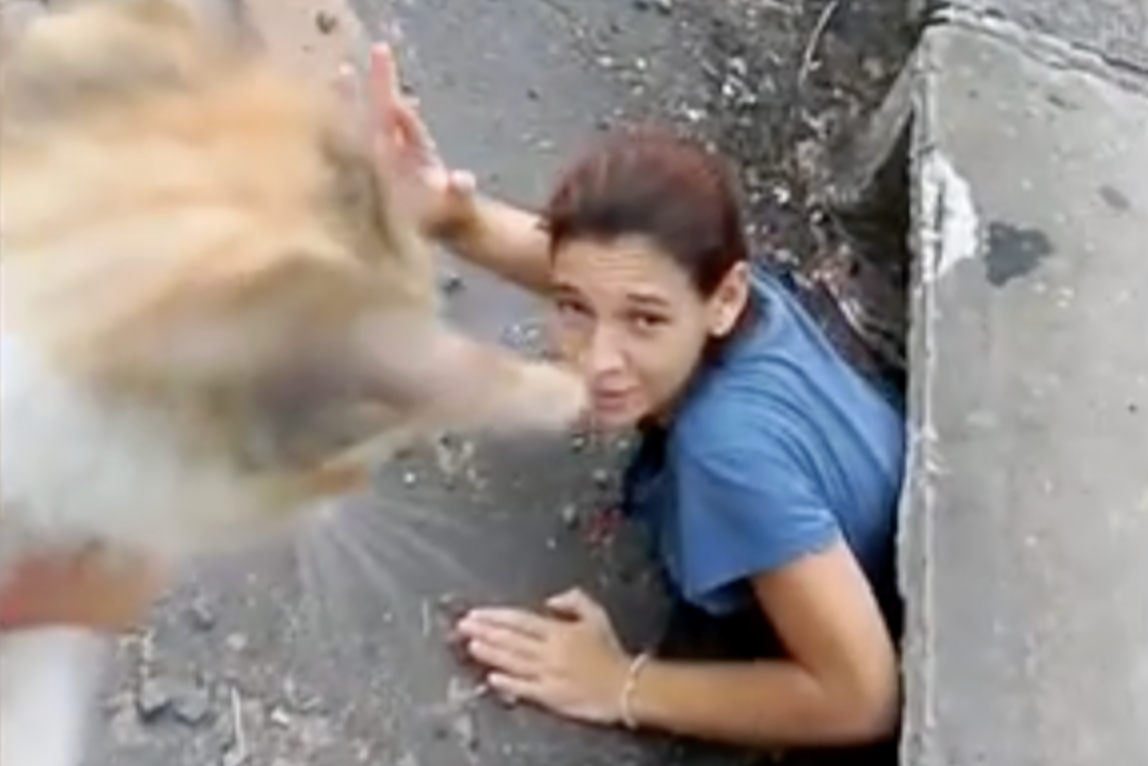 Woman Rescues Kitten in Storm Drain | EpochTV