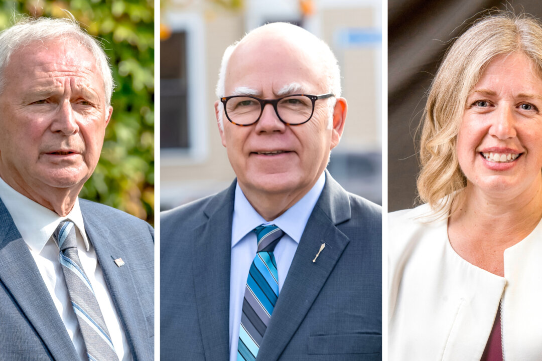 NB Election: Liberals Announce New Mental Health Supports, PCs Pledge ...