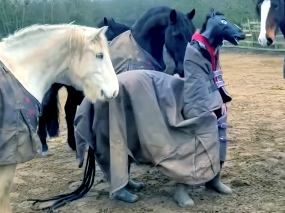 People Dress Up as Horses and Interact With Them | EpochTV