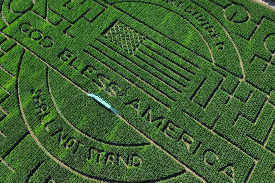 Navigating This World-Record Corn Maze Is a Test of the Human Psyche ...