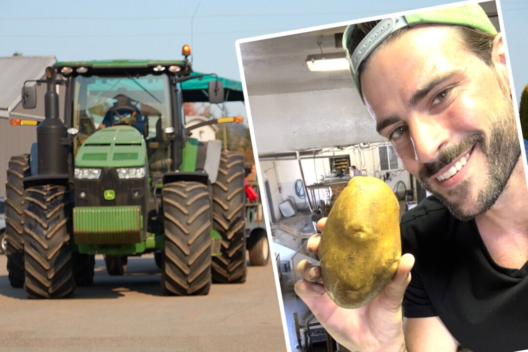 Man Rejects a $200K Salary in Sales to Help Manage Family Farm With a ...