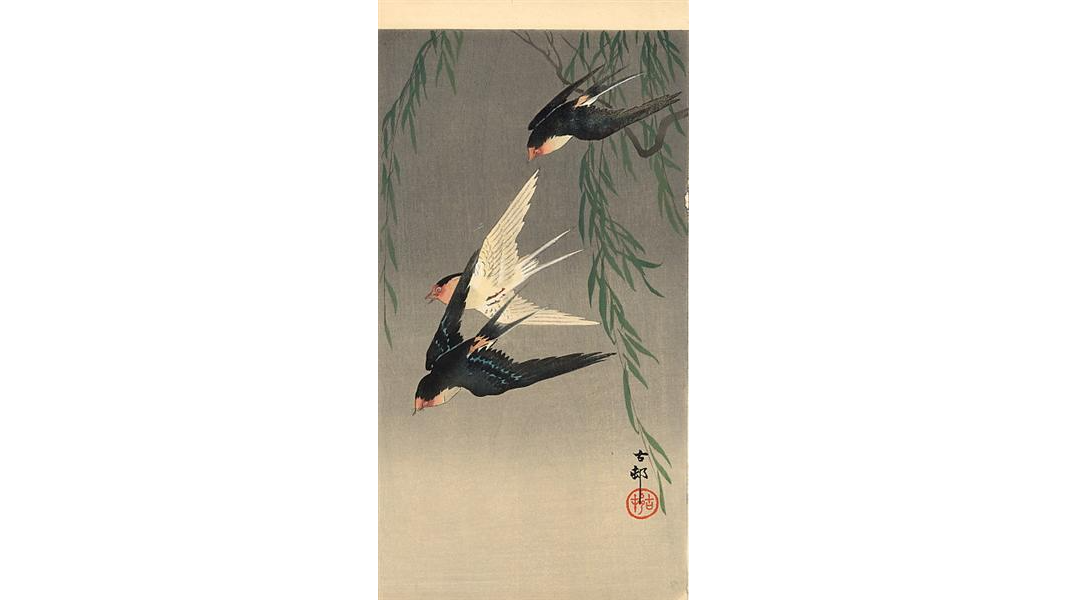 Louisa May Alcott’s Short Story, ‘What the Swallows Did’ | The Epoch Times