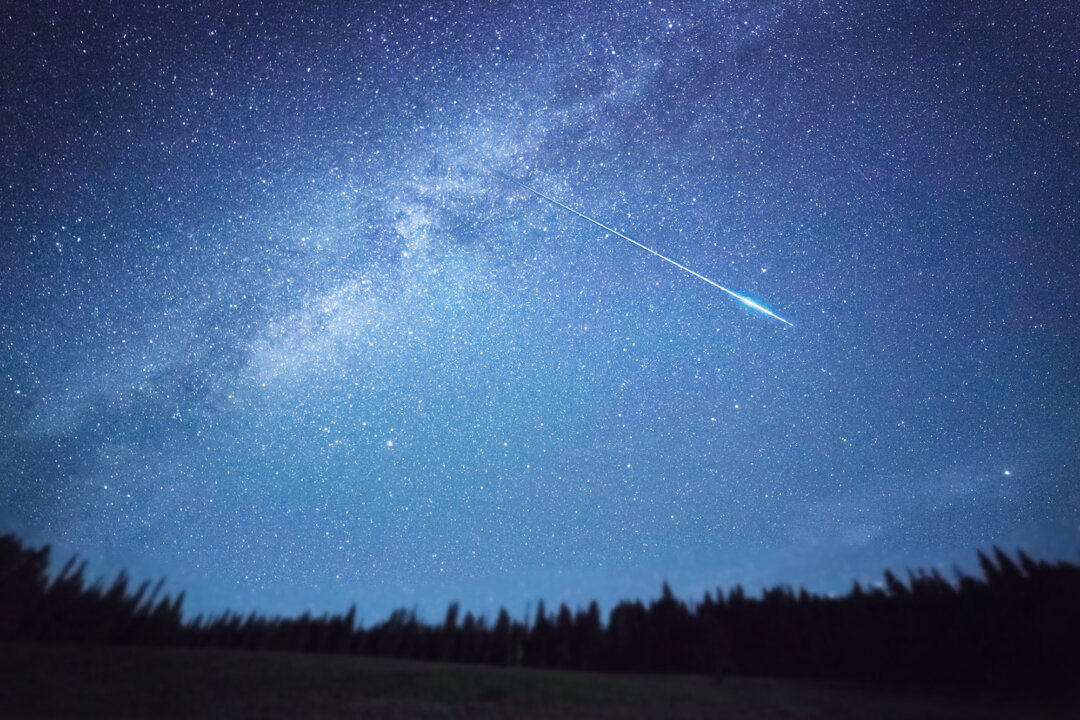 The Leonid Meteor Shower to Fall Mid-November—and It’s Famous for Its ...