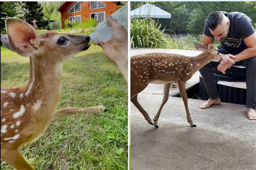 ‘I’m Very Blessed’: Man Starts Taking Care of ‘Fairy’ the Orphan Baby ...