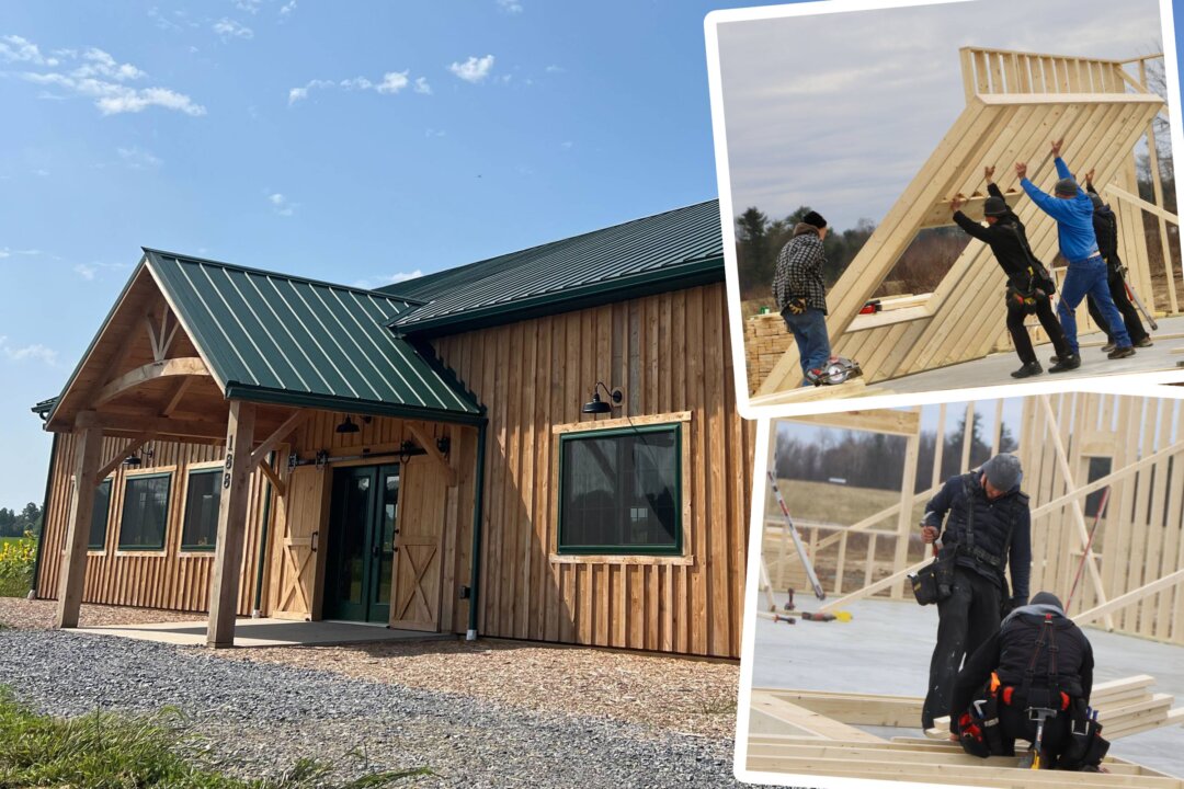 New Farmer Is Impressed by Amish Workers Who Built Her Barn, Learned ...