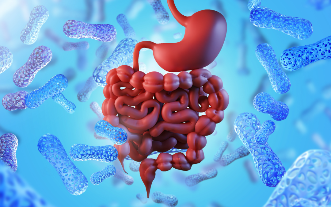 Australian National Review - Gut Metabolites Harm the Kidneys and Brain ...