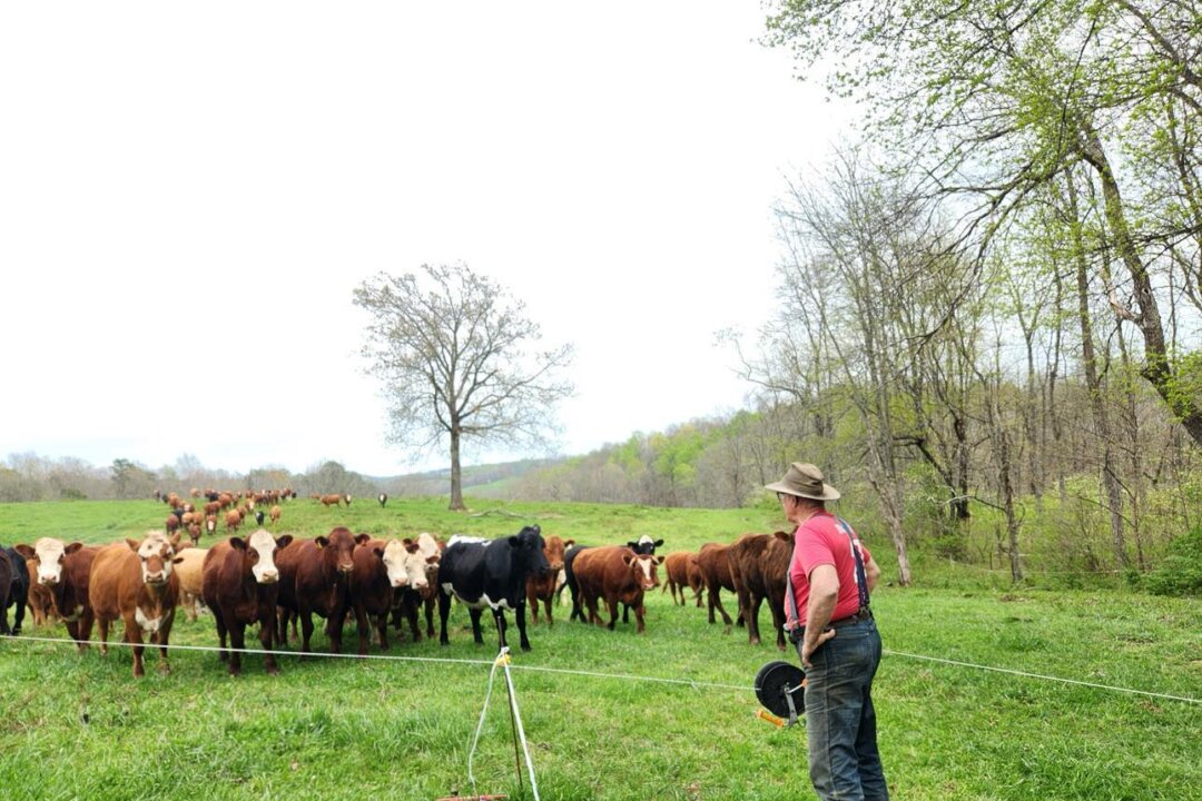 The Urgency of Food Emancipation | The Epoch Times