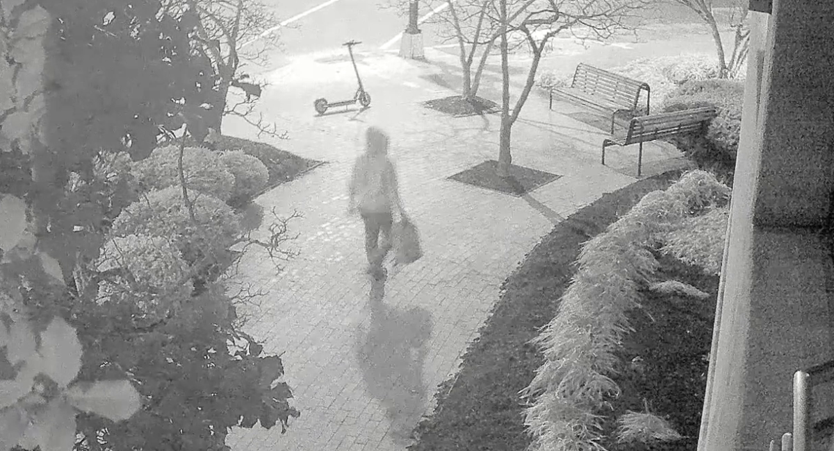 LIVE NOW: House Judiciary Subcommittee Holds Hearing on DNC, RNC Pipe ...