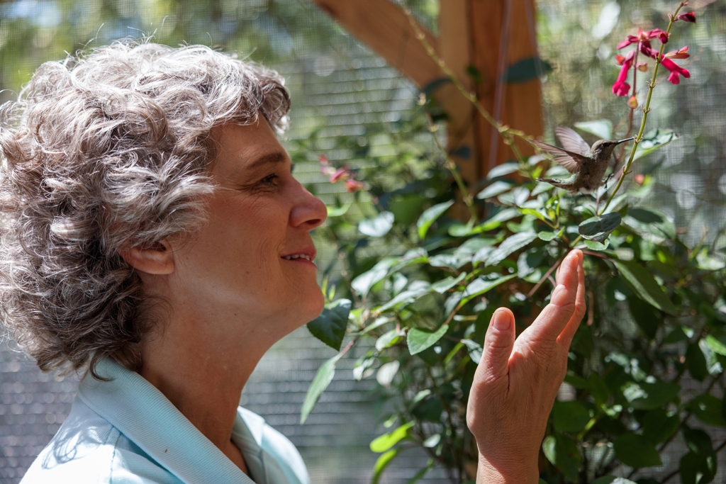 ‘Every Little Thing’: A Profile of a Woman Who Rescues Hummingbirds ...