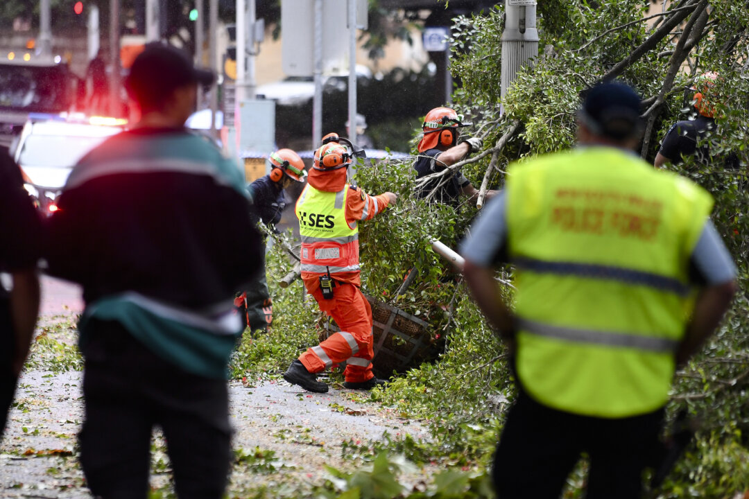 Big Falling Tree Crashes Onto Inner City Pedestrians | The Epoch Times