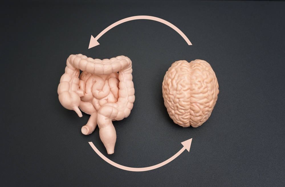 The Gut-Brain Axis: Unlocking the Connection Between Probiotics and ...
