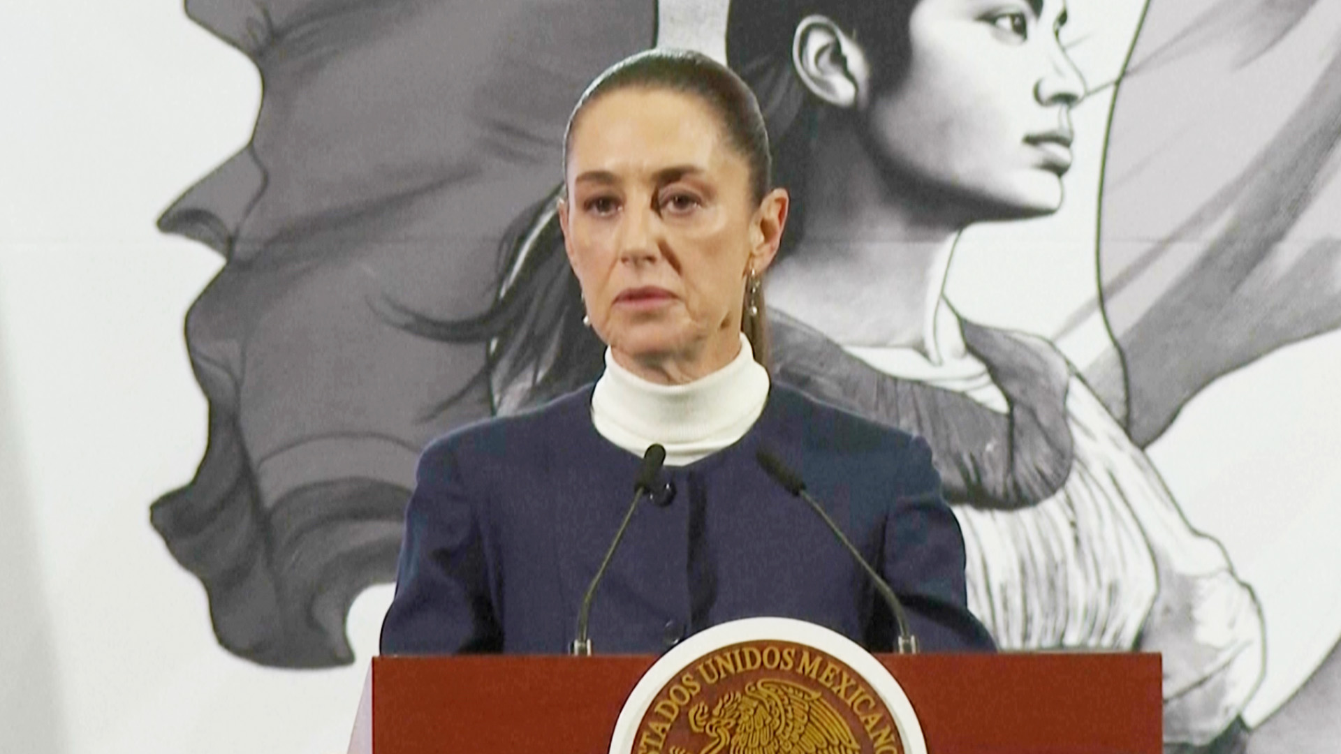 Trump Pauses Tariffs on Mexico for One Month; Musk Says Trump ...