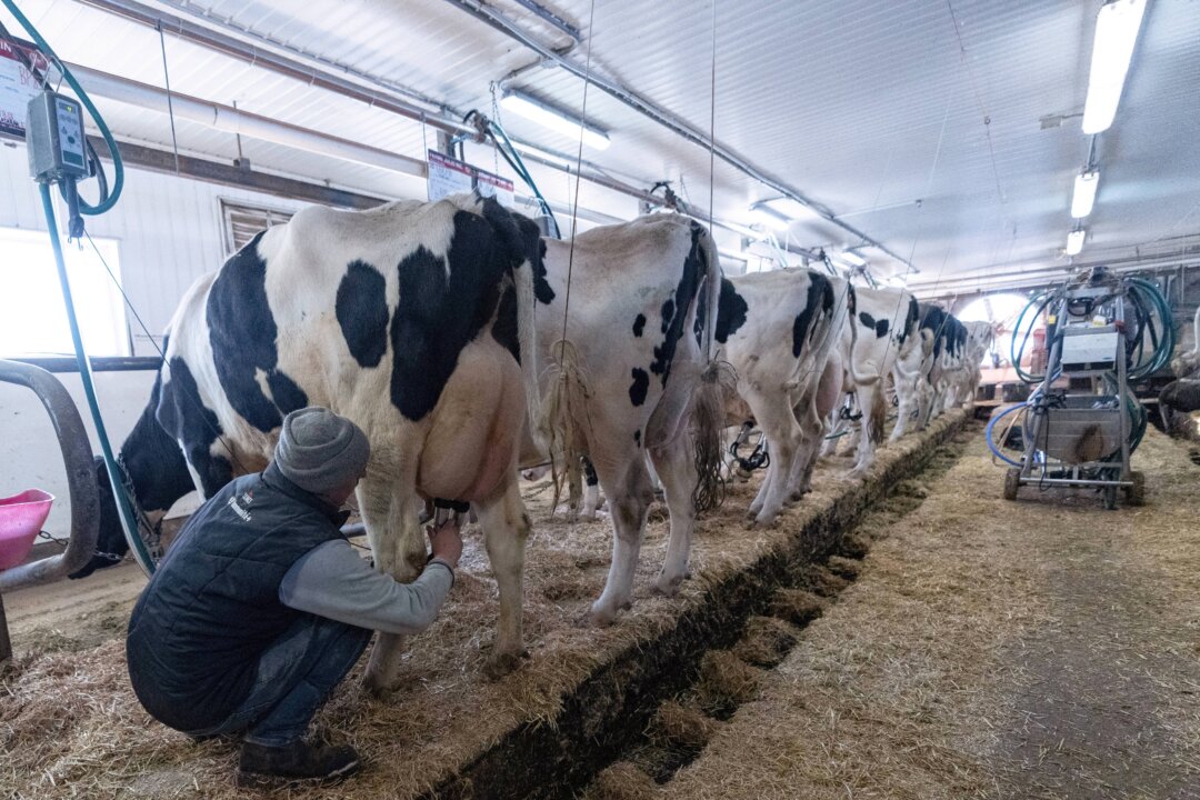 Cory Morgan: Now Is the Ideal Time for Canada to End Its Costly and ...