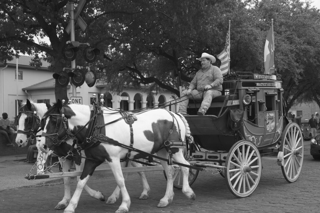 Henry P. Leland’s Short Story, ‘The Dutchman Who Had the “Small Pox ...