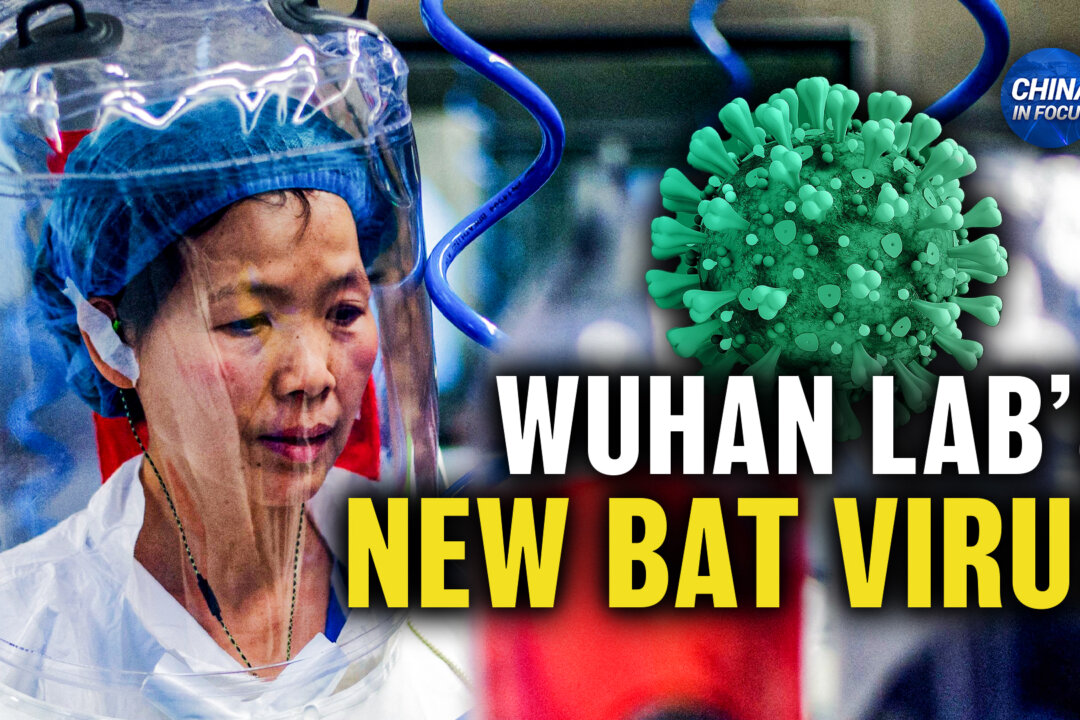 New COVID-Like Bat Virus Discovered in China
