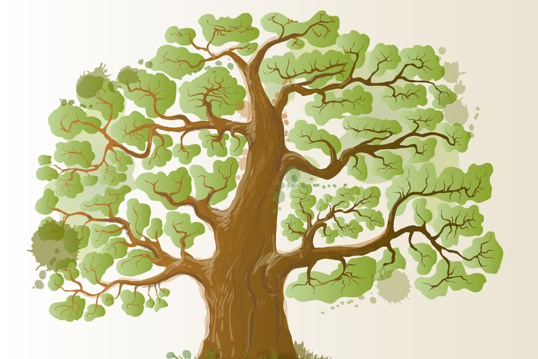 Growing Your Family Tree: Exploring Genealogy With Your Kids | The ...