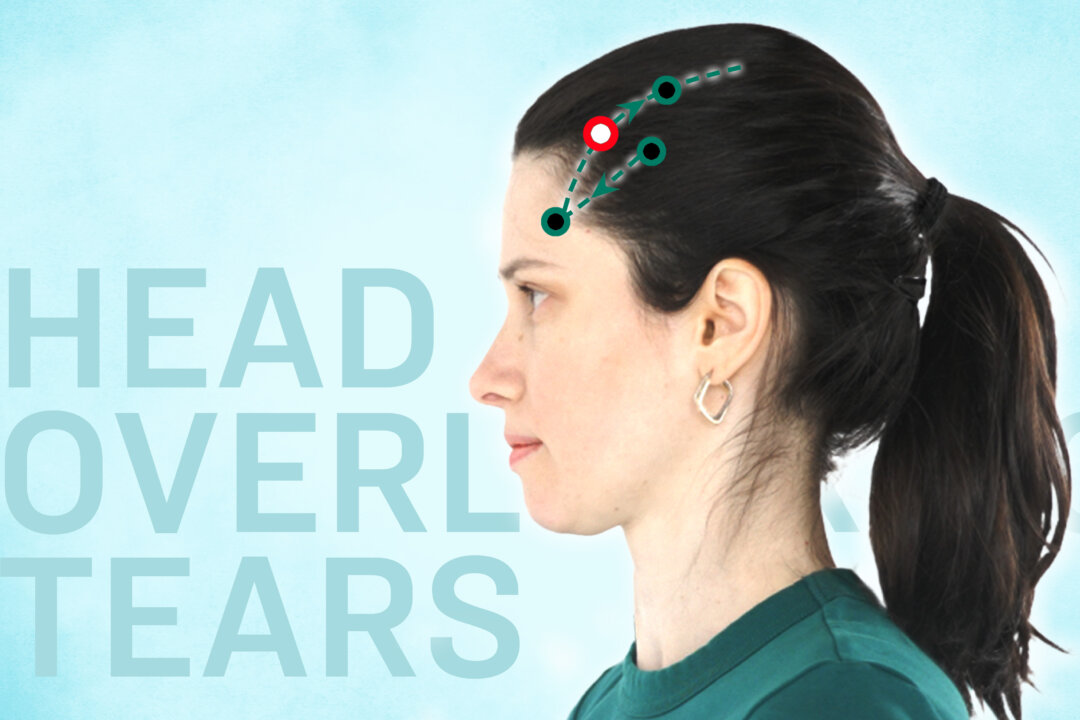 Australian National Review - Tou Lin Qi—An Essential Acupoint to ...