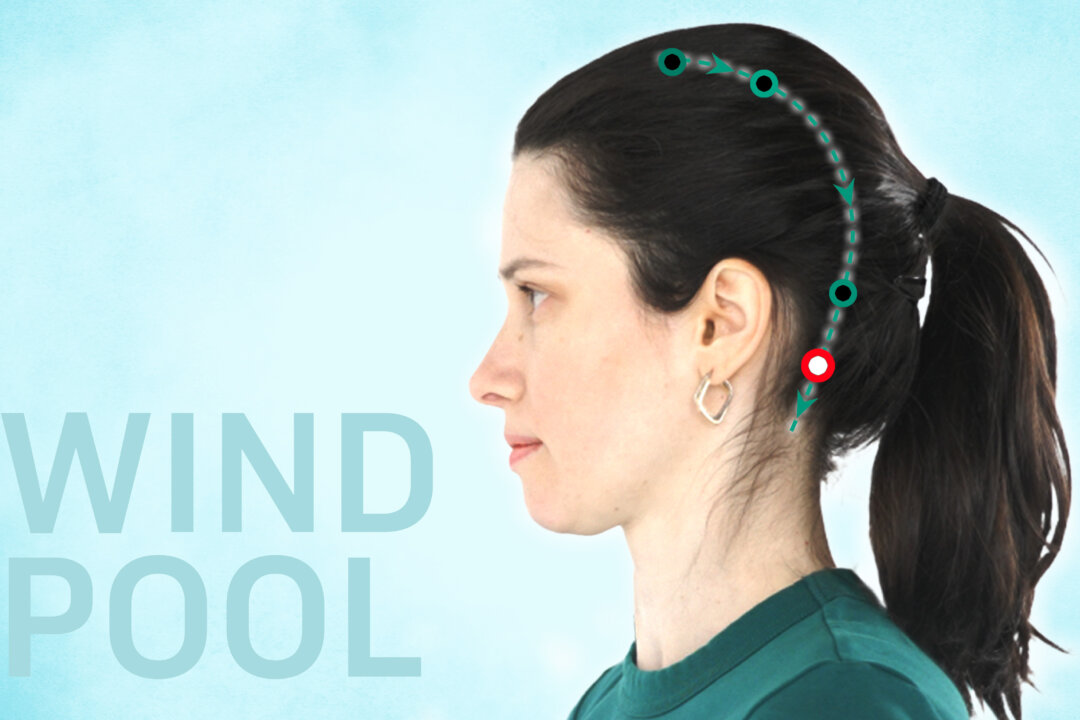 Australian National Review - Feng Chi: A Go-to Acupoint for Brain ...