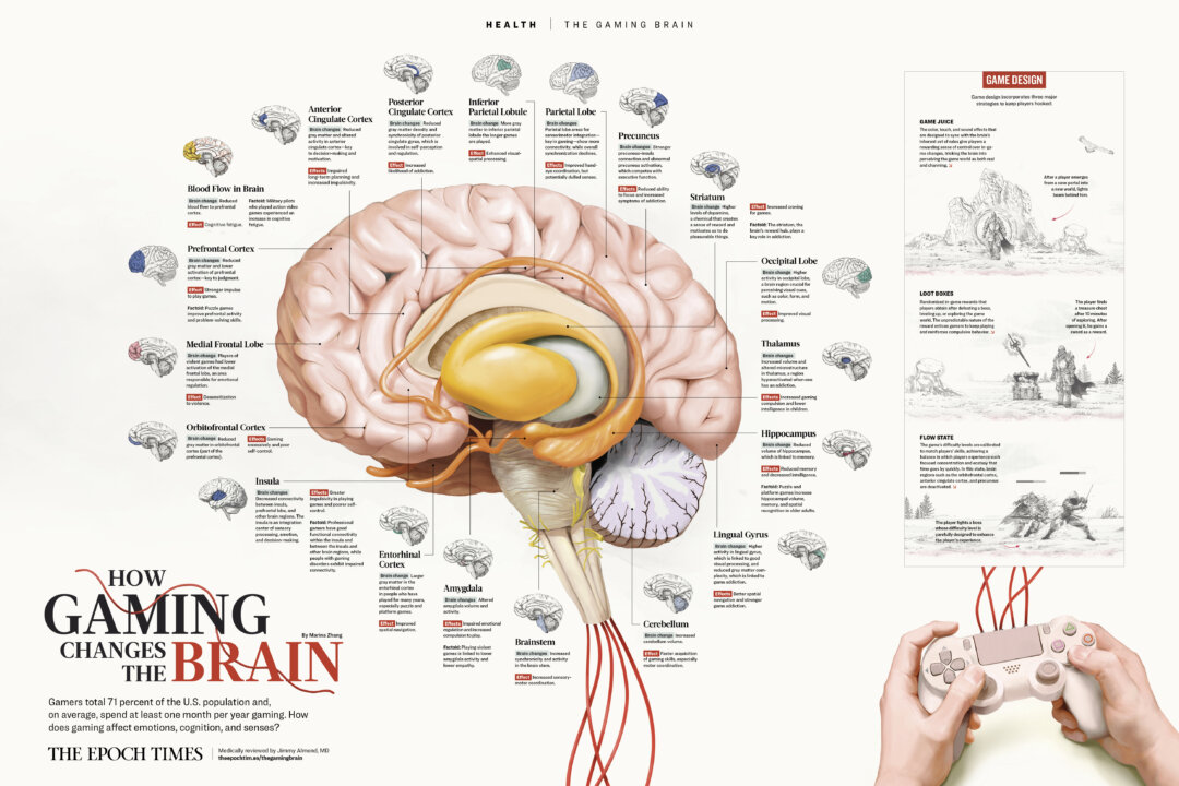 INFOGRAPHIC: How Gaming Changes the Brain | The Epoch Times
