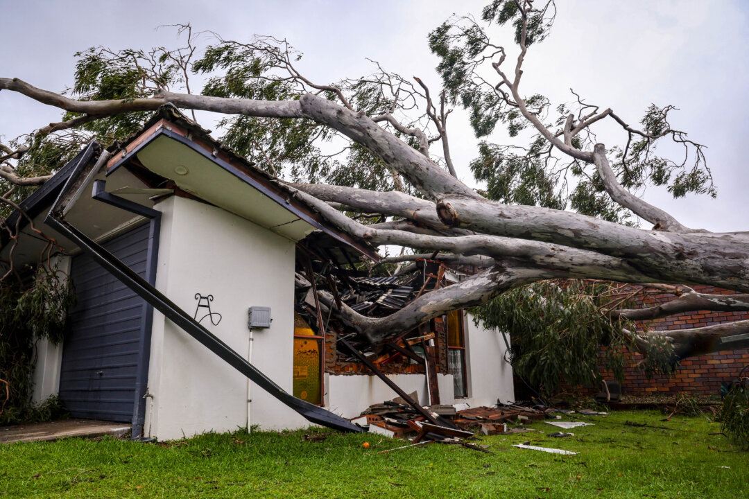 Insurance Council Calls for Quick Claim Lodgment for Ex-Cyclone Alfred ...