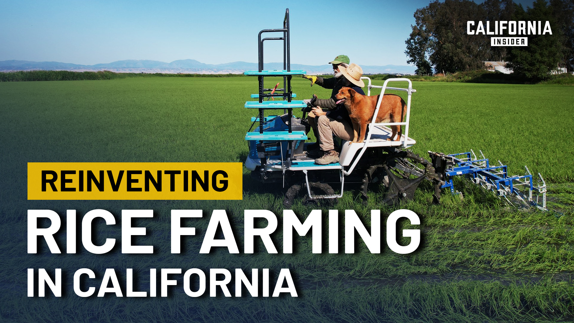 California Farmer Finds Smarter Way to Grow Rice | Christopher Lopes ...