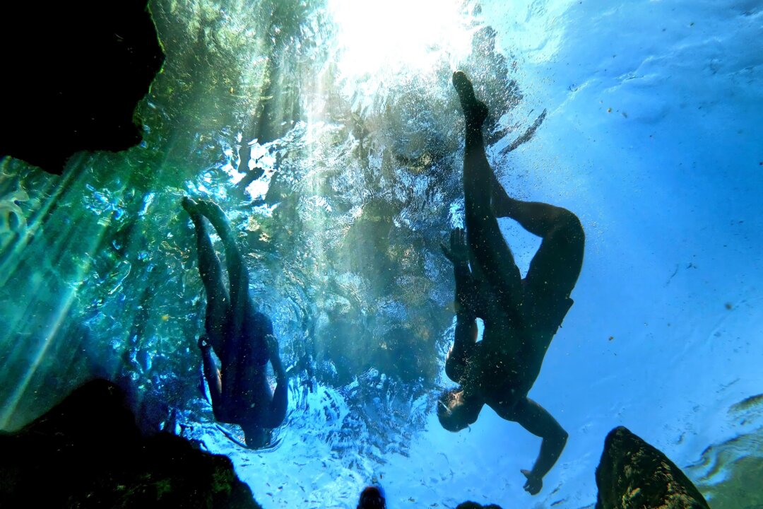 The St. Johns River: 30 Experiences to Explore the Scenic Florida Waterway | The Epoch Times