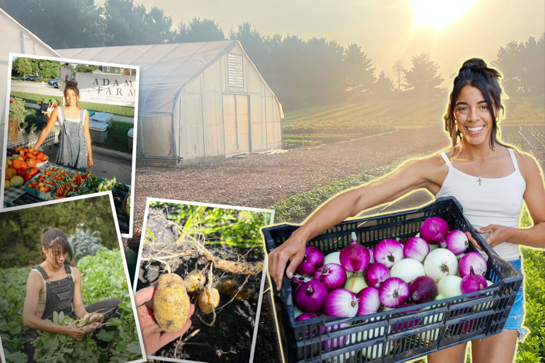 ‘Beyond Organic’: Illinois Woman Starts Farm-to-Table Regenerative Farm ...