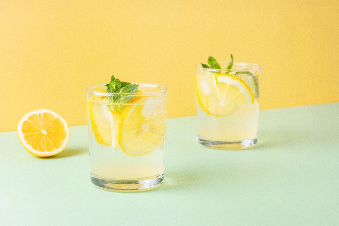 Australian National Review - Fizzy Fermentation: How to Make Your Own ...