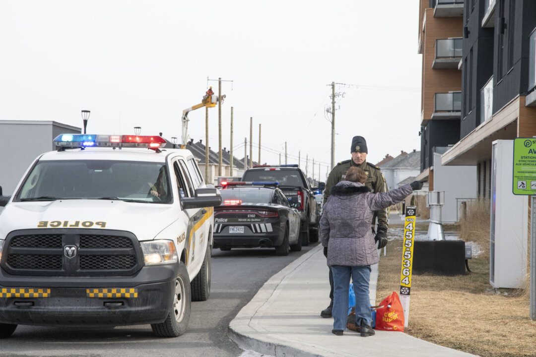 Quebecer Who Stabbed to Death Mother and a Neighbour Found Not ...
