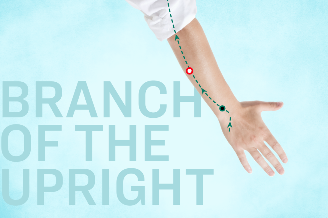 A Must-Know Path to Natural Gut, Mind, and Skin Wellness Awaits You ...