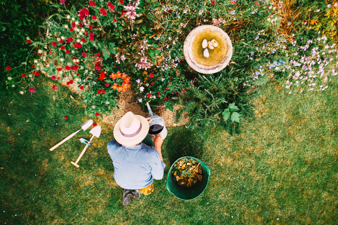 Prepping the Garden for Vacation | The Epoch Times