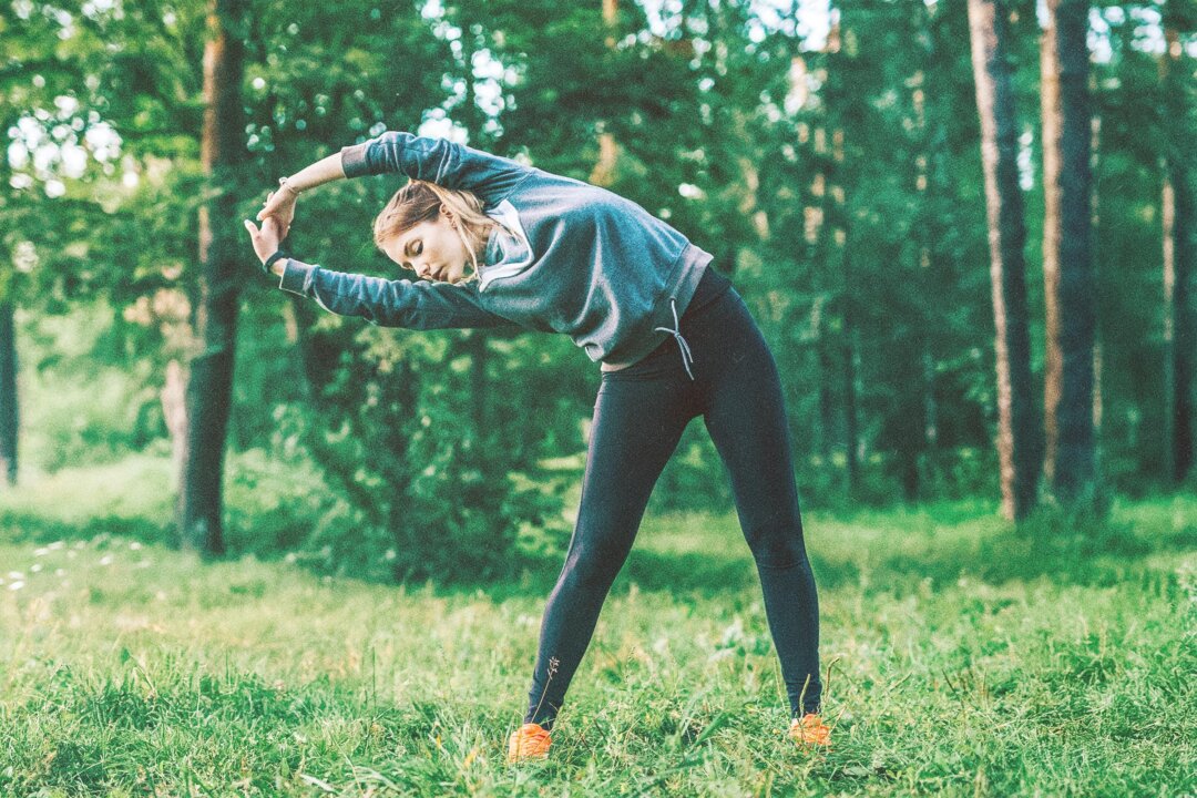 Australian National Review - Circulatory System Stretching Exercises: A ...