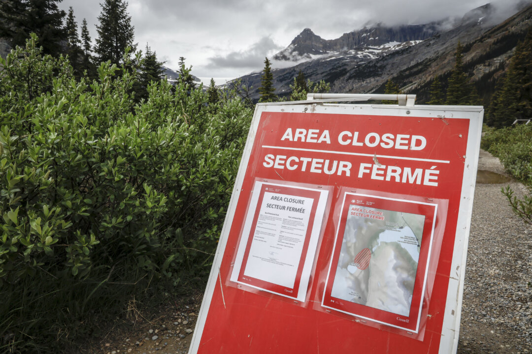 Victim of Banff Rockslide Identified as Retired University of Alberta ...