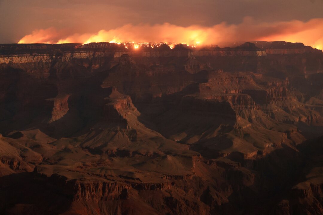 Grand Canyon Fire That Was Left to Burn Swells 50 Percent After ...