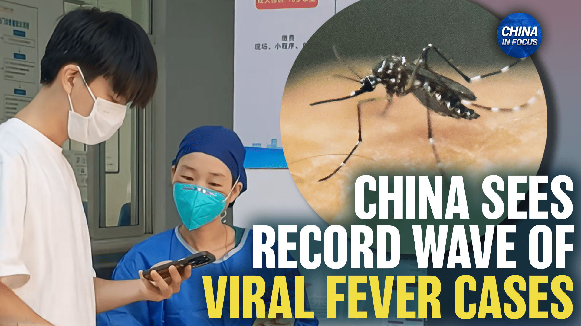 Potentially Deadly New Virus Outbreak in China Spread by Mosquitoes ...