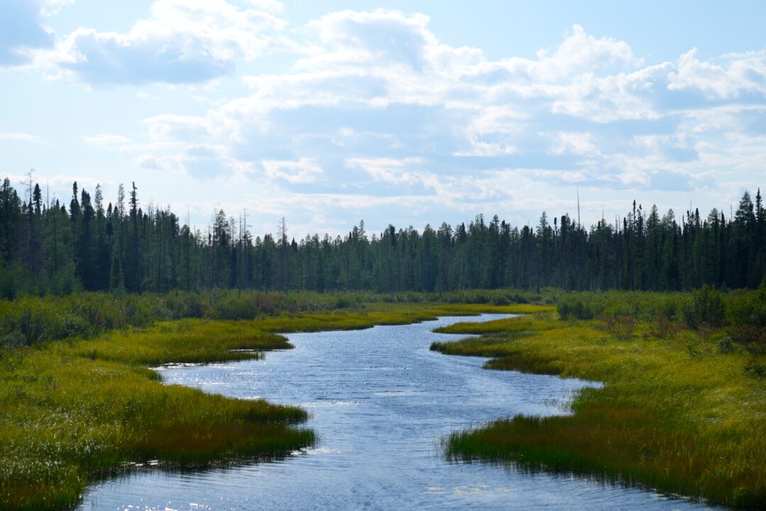 Ontario to Begin Building Road to Ring of Fire Mining Region | The ...
