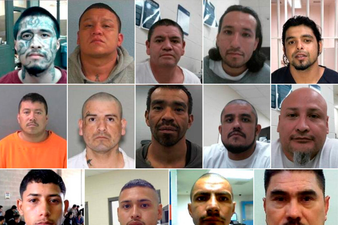 ICE Arrests Over 350 Members of More Than 40 Different Gangs in Houston ...