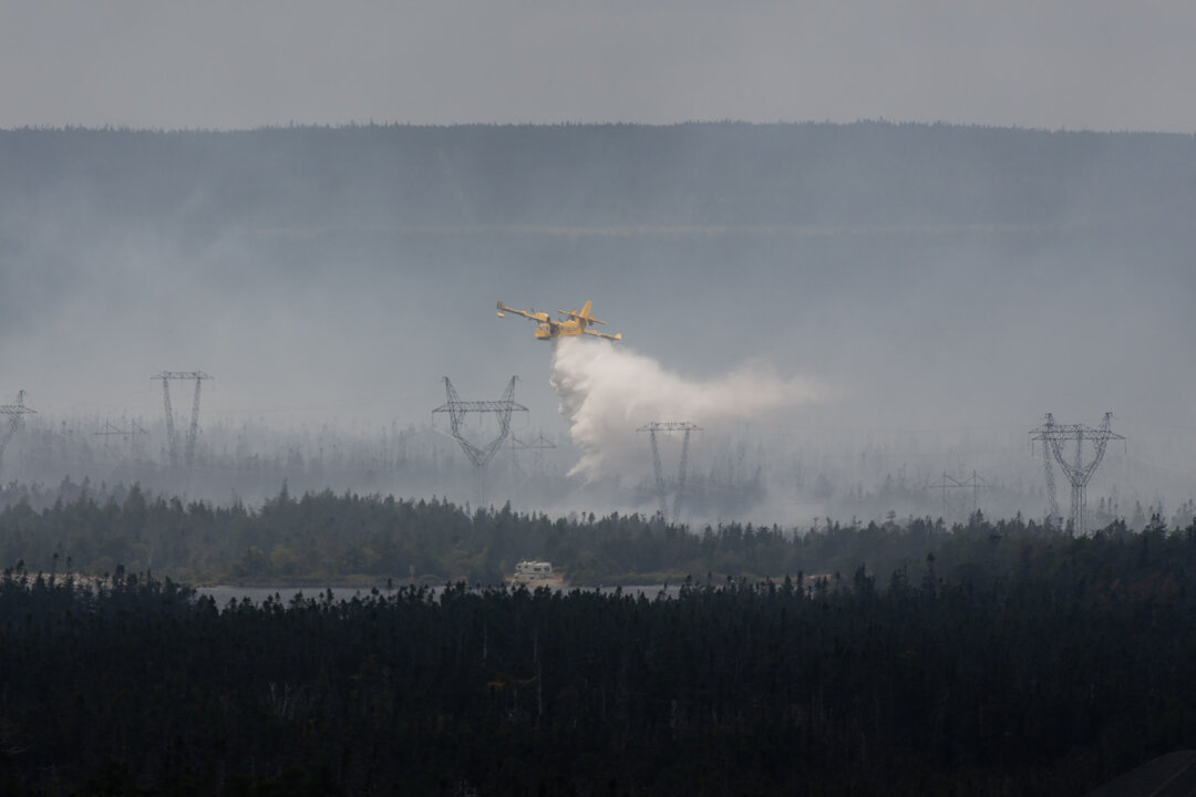 Wildfires in Newfoundland and Labrador, Nova Scotia Have Residents on ...