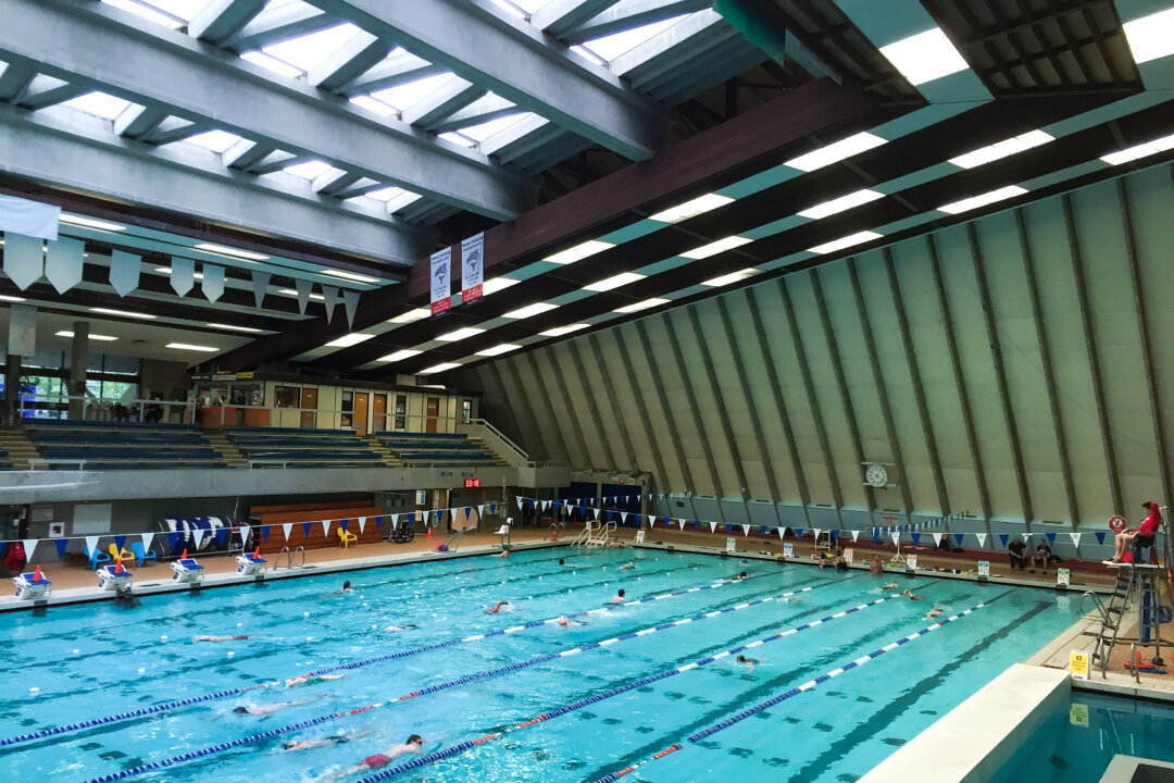 John Robson: How ‘Rule of the Expert’ Is Displacing Genuine Self ...