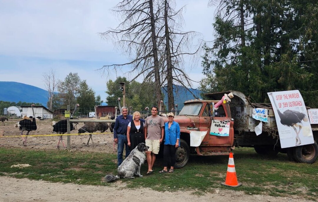 Co-Owner and Daughter of BC Ostrich Farm Facing Cull Order Arrested ...