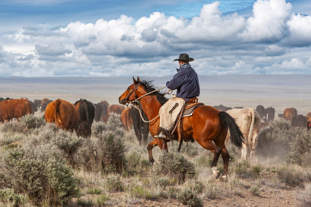 The Cowboy Code: 10 Principles to Live By | The Epoch Times